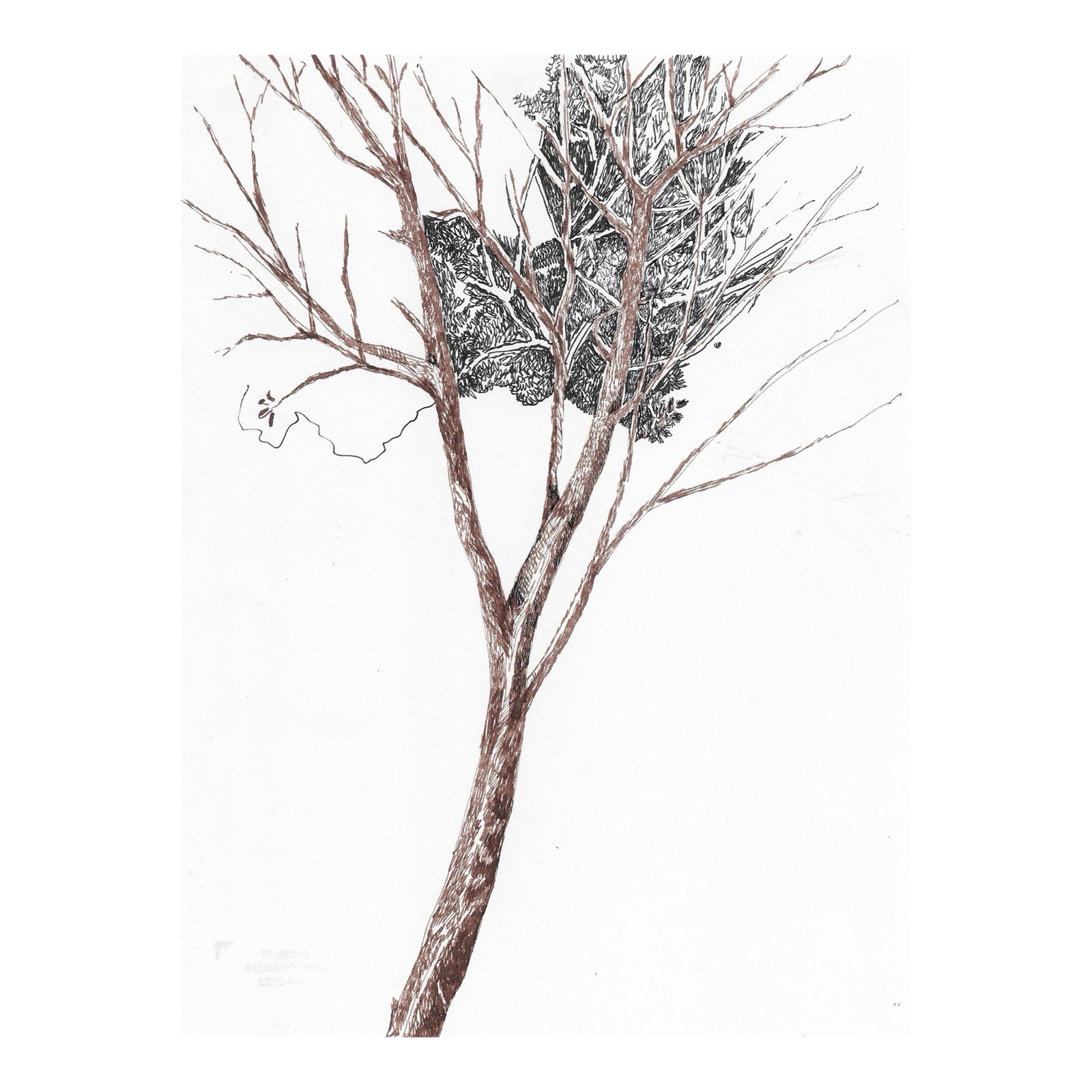 Ron Yrabedra Tree Landscape Drawing | Chairish