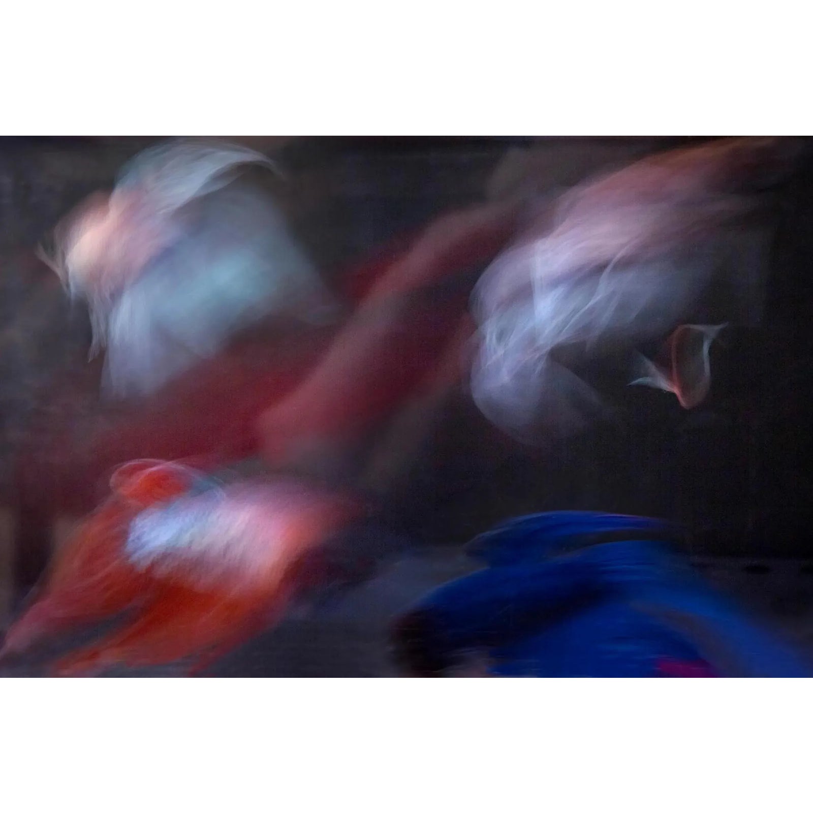 Beta Blur 7 Photograph | Chairish