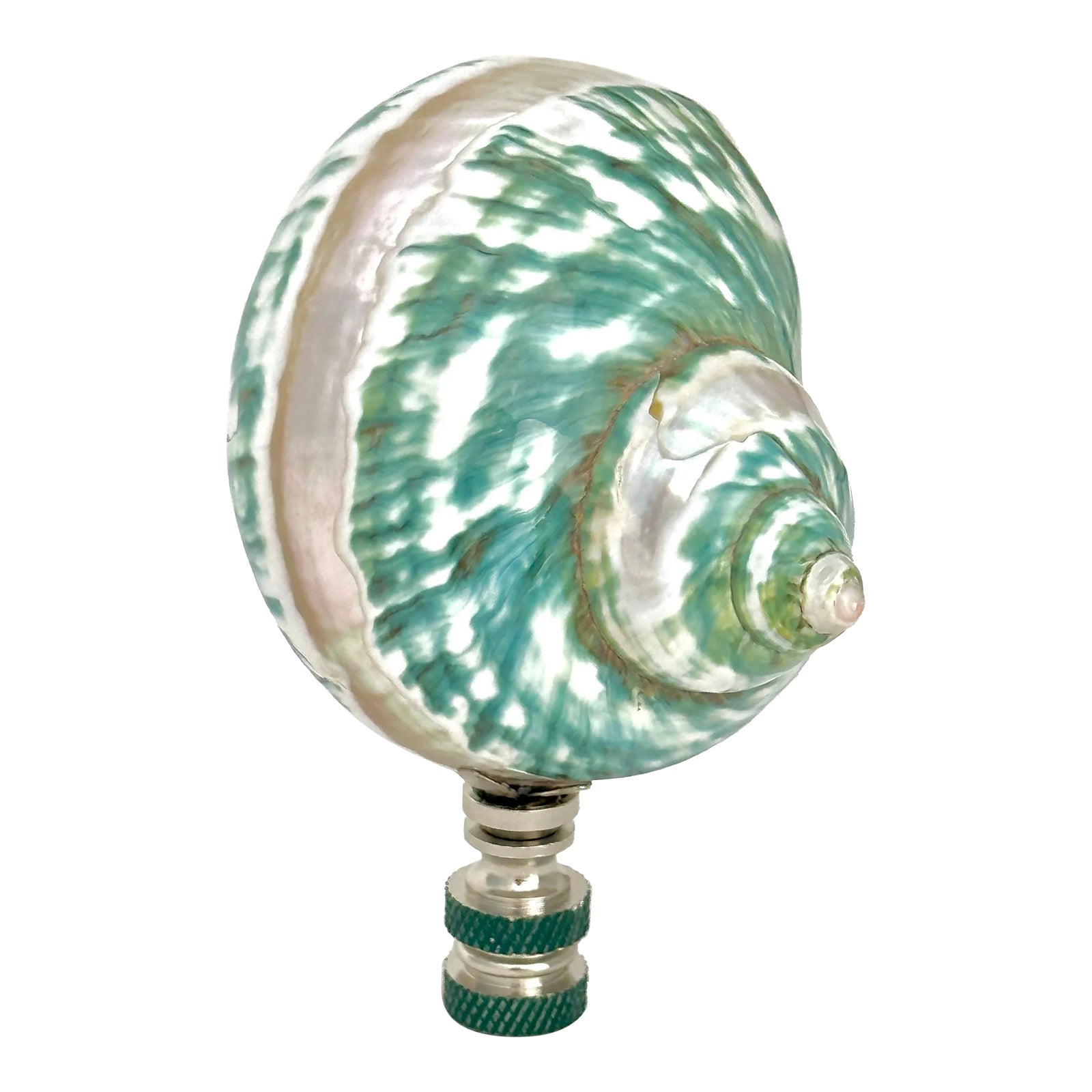 Pearlescent Teal Banded Shell Lamp Finial | Chairish