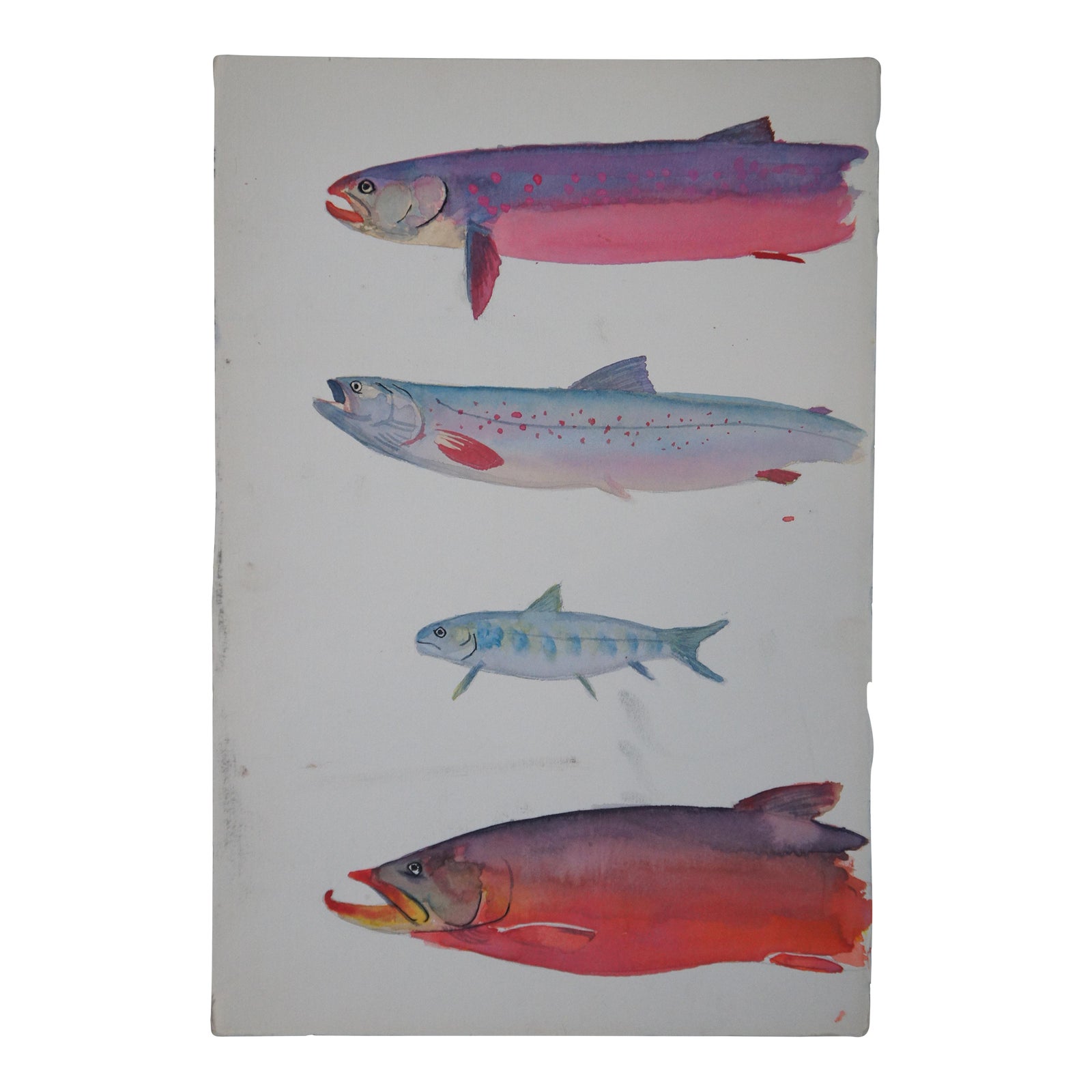 Ken Skahan After George Sutton Salmon Trout Fish Watercolor Painting 22 ...