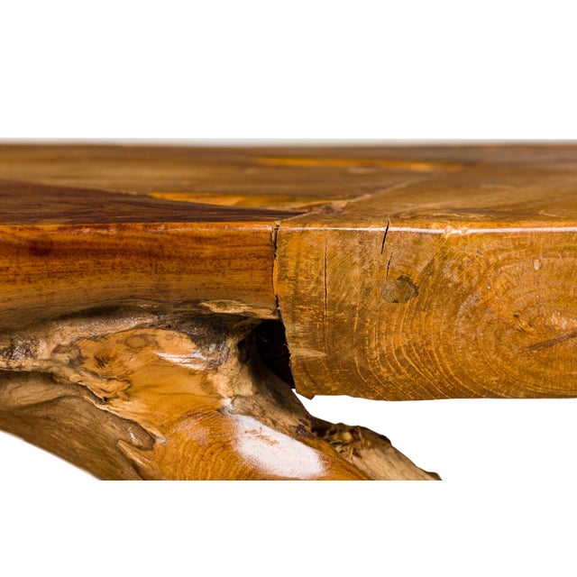 Rustic Tree Root Live Edge Lacquered Console Table | Chairish
