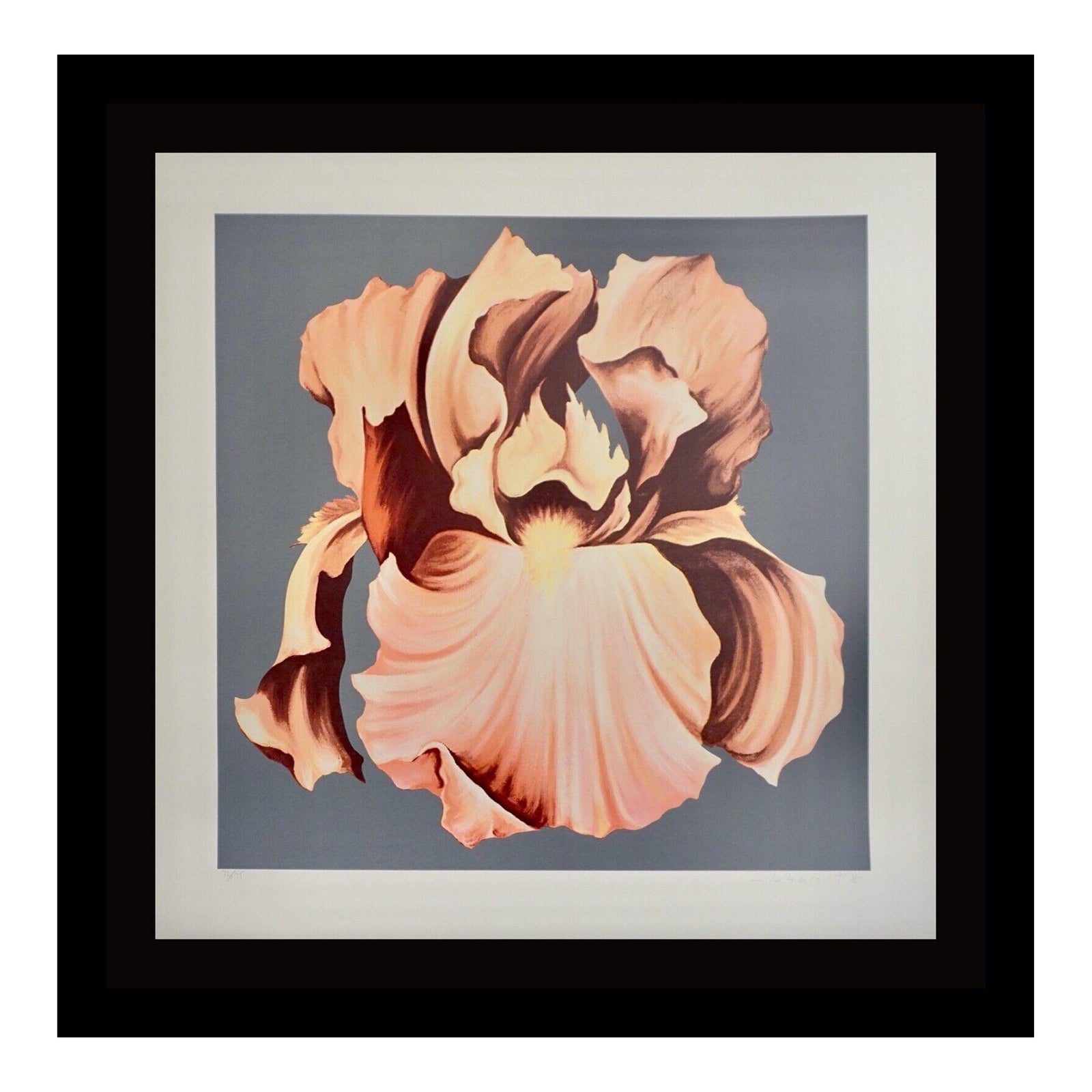 1978 Lowell Nesbitt "Iris" Botanical Still Life Limited Edition ...
