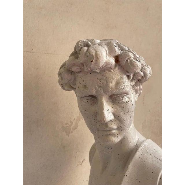 David by Michelangelo Plaster Bust | Chairish