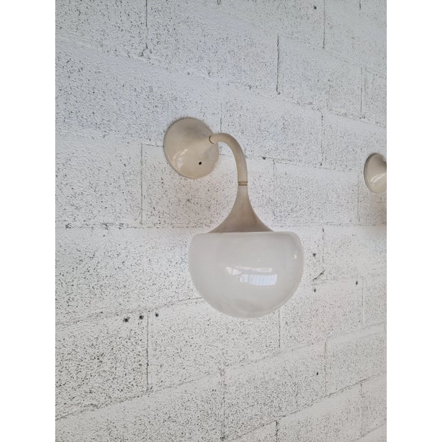 Vintage Wall Lights by Elio Martinelli for Martinelli Luce, Set of 2 ...