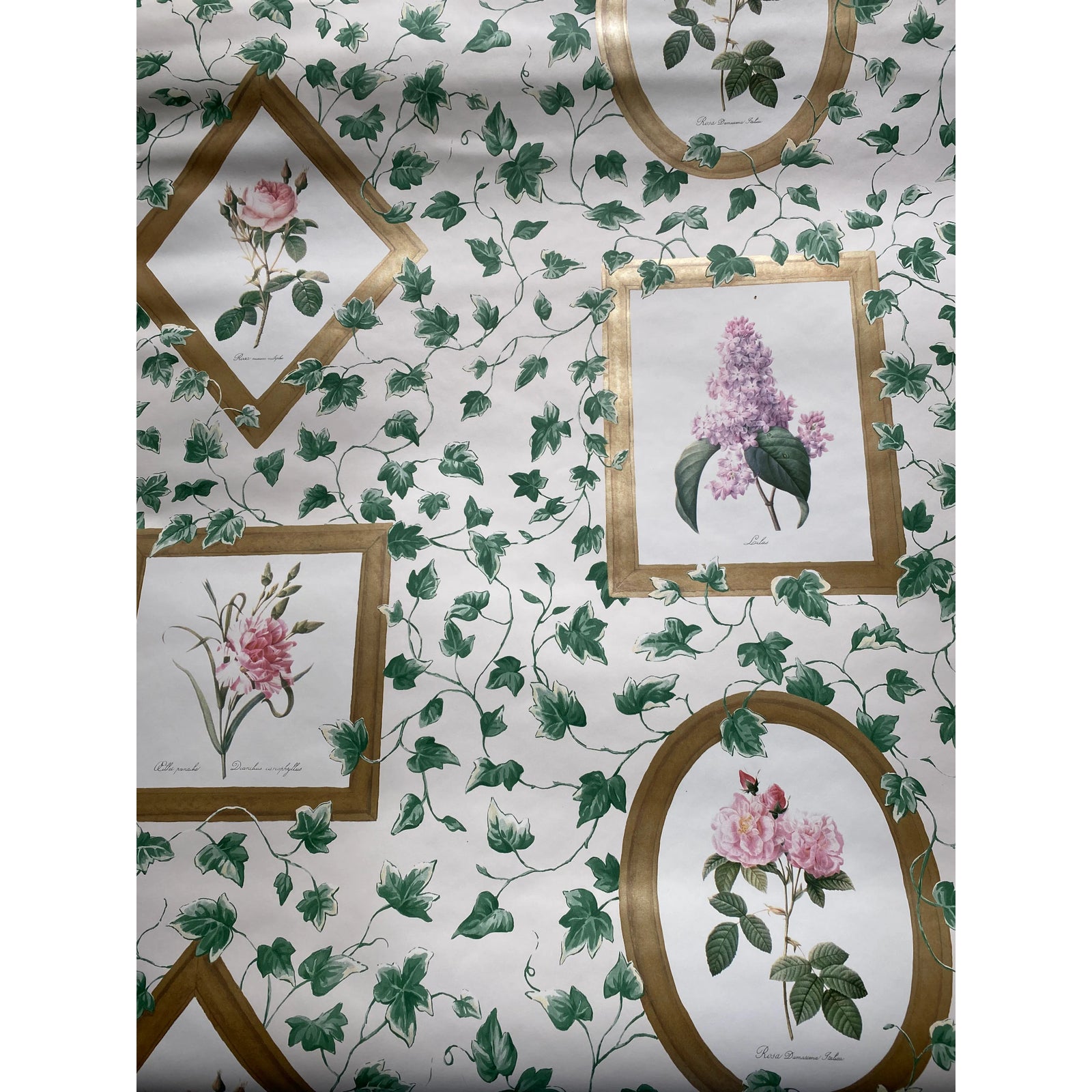 Waverly Schumacher Floral Prints & Ivy Green on White Double Roll ...