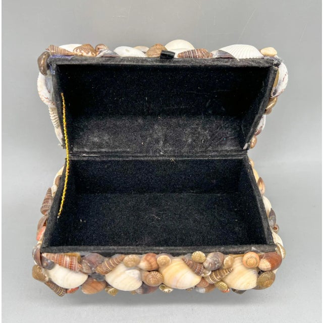 Vintage Nautical Seashell Encrusted Shell Box | Chairish