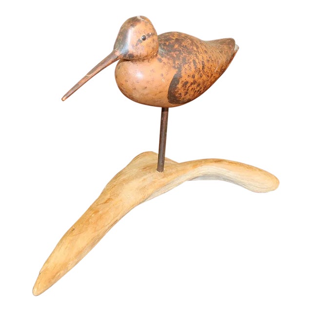 Hand-Made Vintage 1940s Long Billed Dowitcher Deco on Driftwood Carved ...