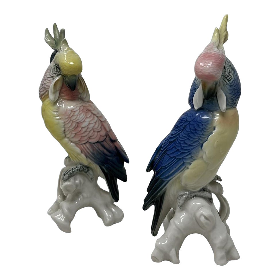 Pair Antique German Porcelain Birds Parakeets Cockrels Cockatoo Parrots ...