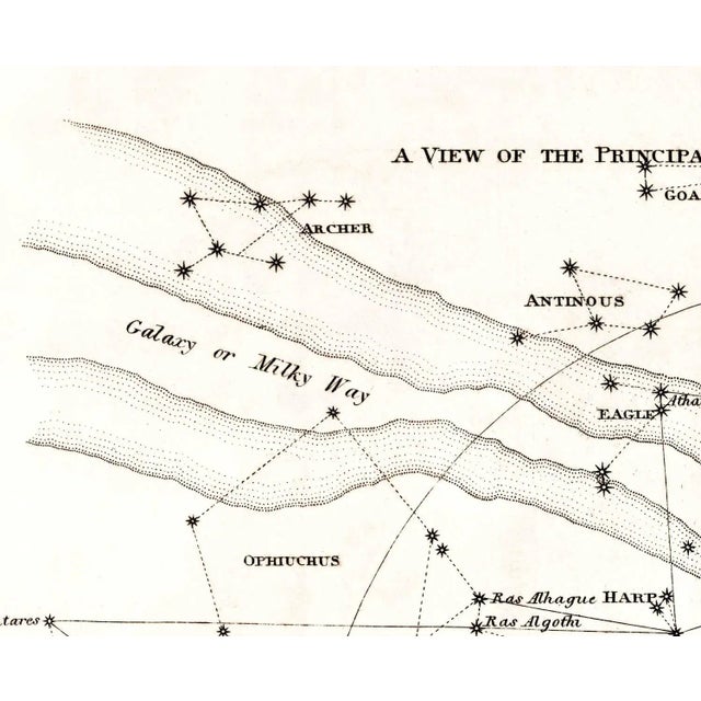 Celestial Star Map of the Northern Hemispher | Chairish