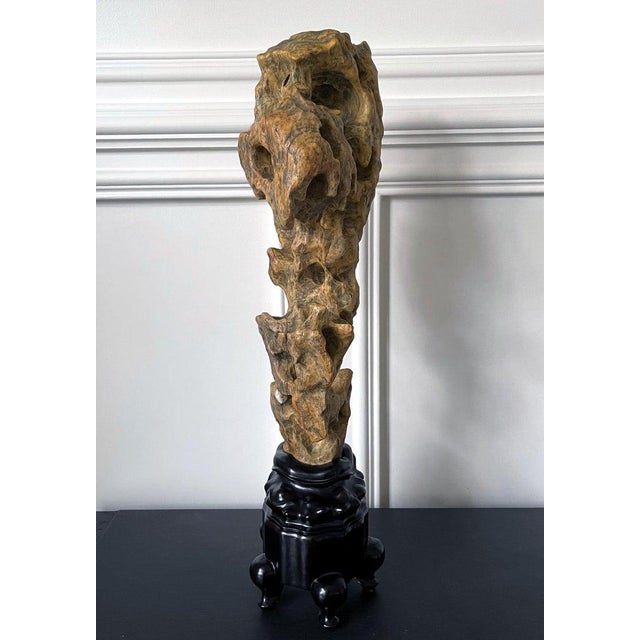 Chinese Scholar Rock Yellow Taihu Stone on Wood Stand | Chairish