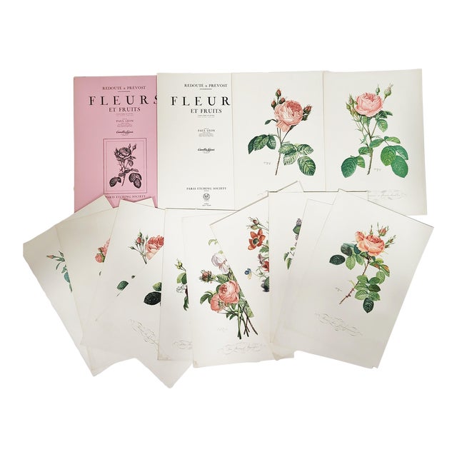 Vintage French Portfolio Etching Plates of Botanical Floral Engravings ...