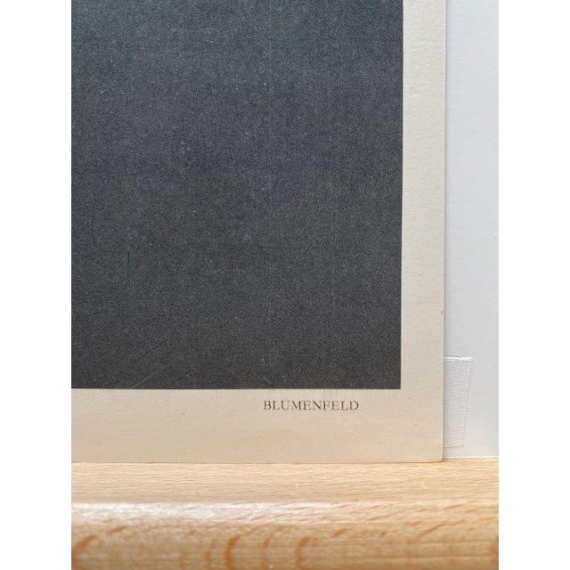 Erwin Blumenfeld Nude 1937 Verve Magazine | Chairish