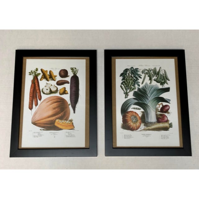 Vintage French Botanical Prints - a Pair | Chairish