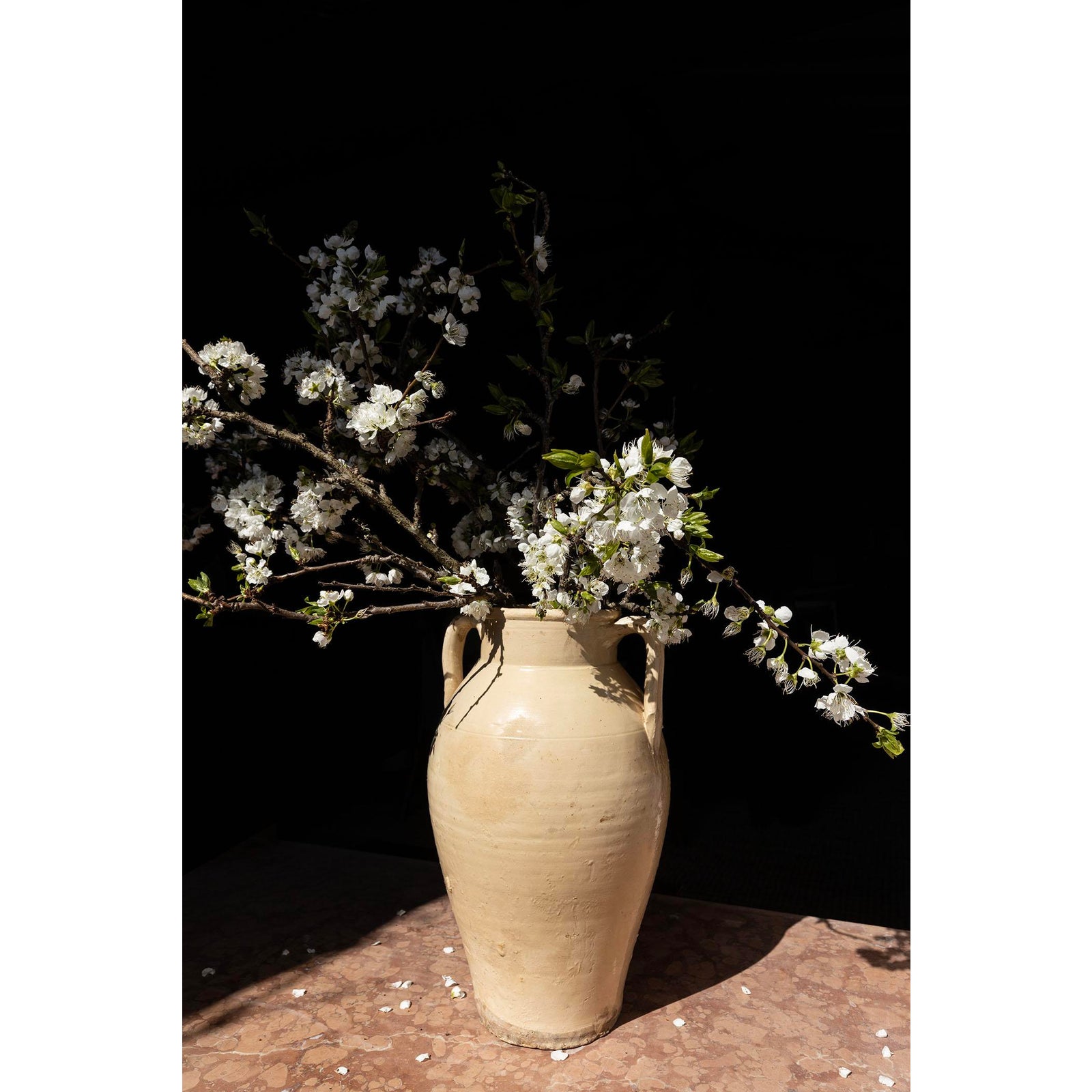 Blooming Branches in a Vessel on Marble, Still Life, Italy. 8 X 12 ...