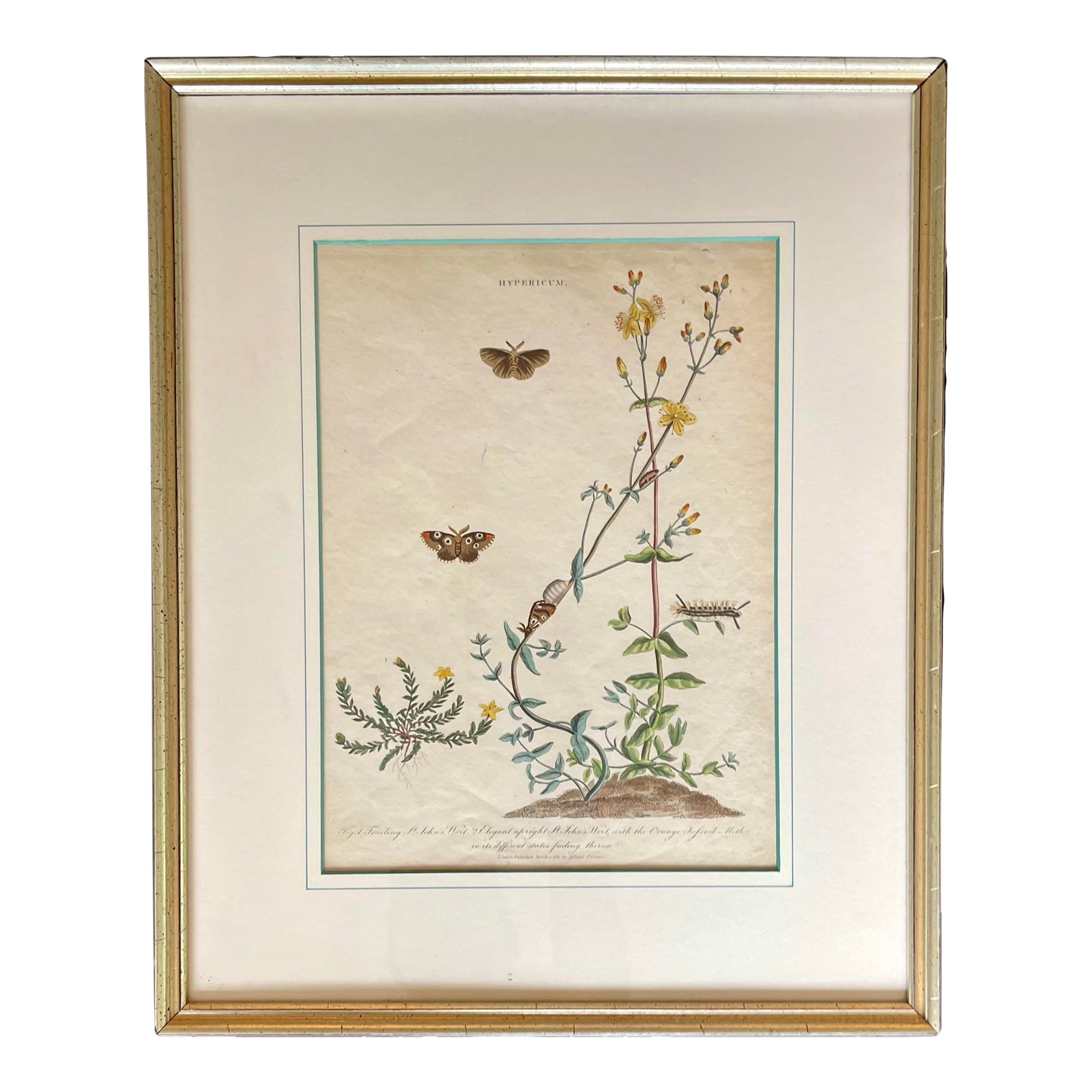 Early 19th C. English Traditional Botanical Plate in Silver Gilt Frame ...