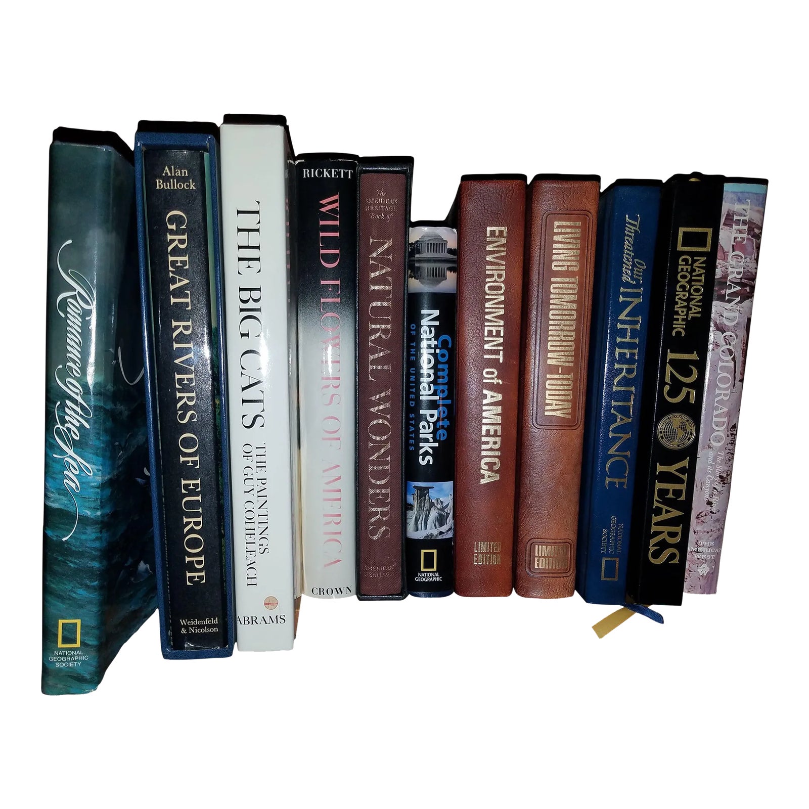 Assortment of 11 Large Cocktail Table Books of the Natural World | Chairish