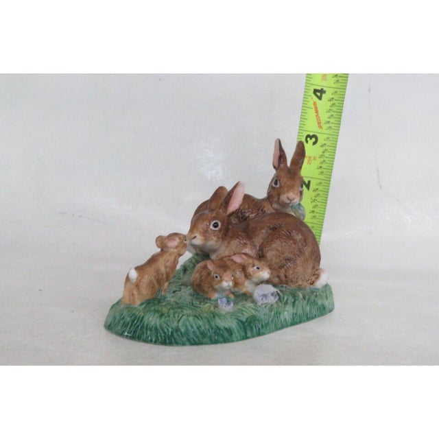 Royal Windsor Eastern Cottontail Rabbit Southern Forest Families ...
