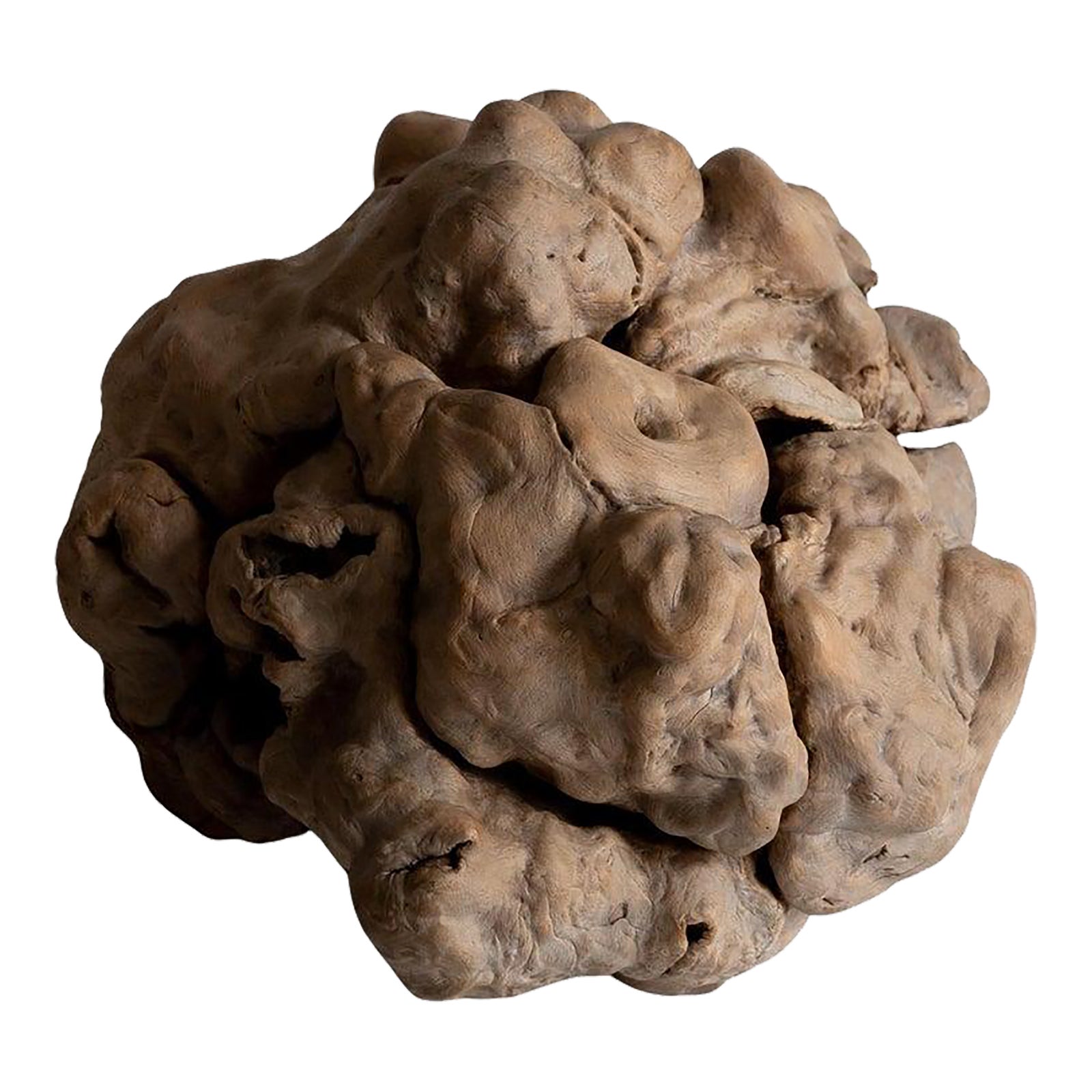 Japanese Antique Wall Hanging Tree Bump 1860s-1900s / Object Mingei ...