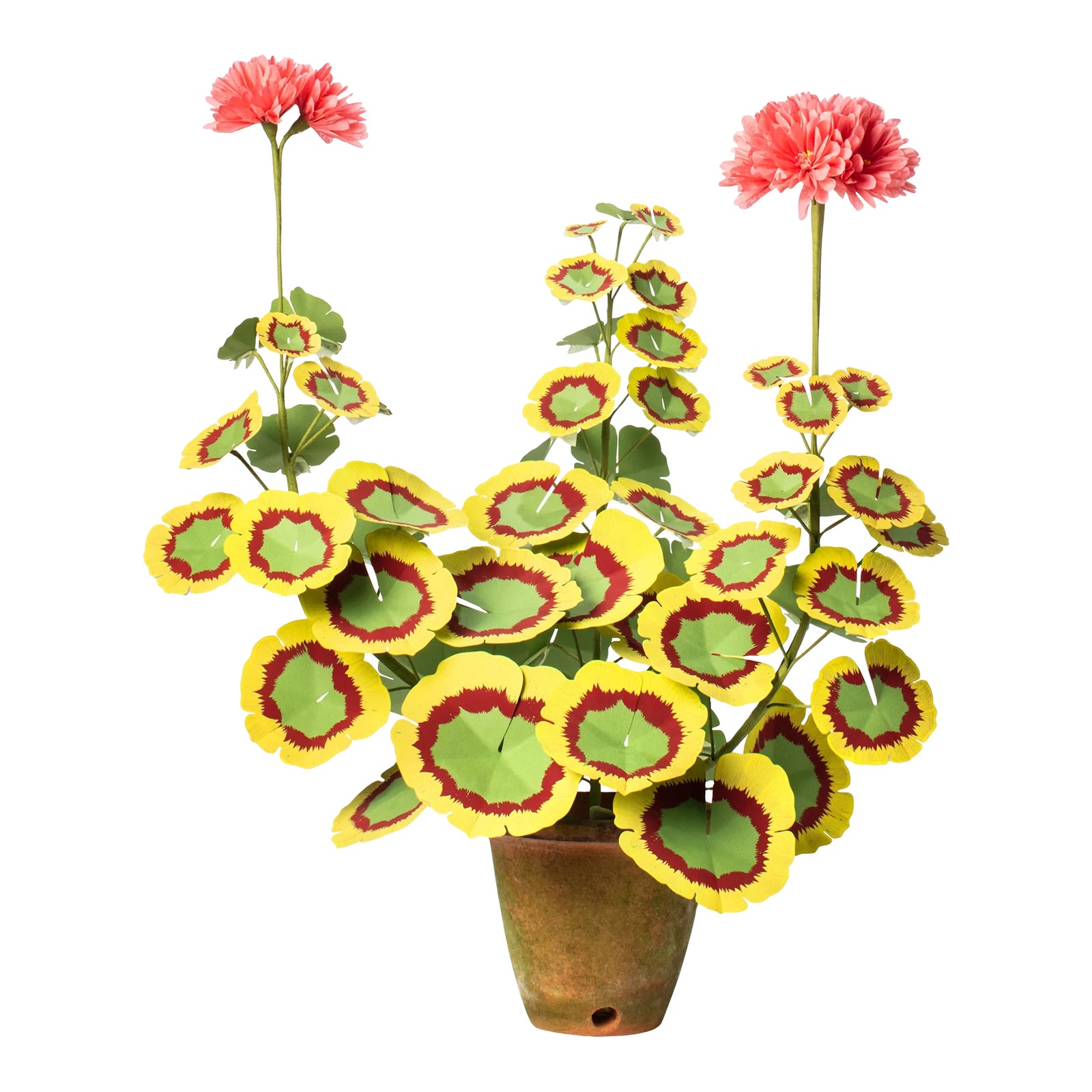 The Green Vase Geranium Plant in Salmon with Burgundy/Yellow Leaves ...