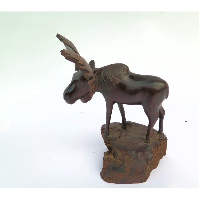 Hand Carved Adult Moose | Chairish