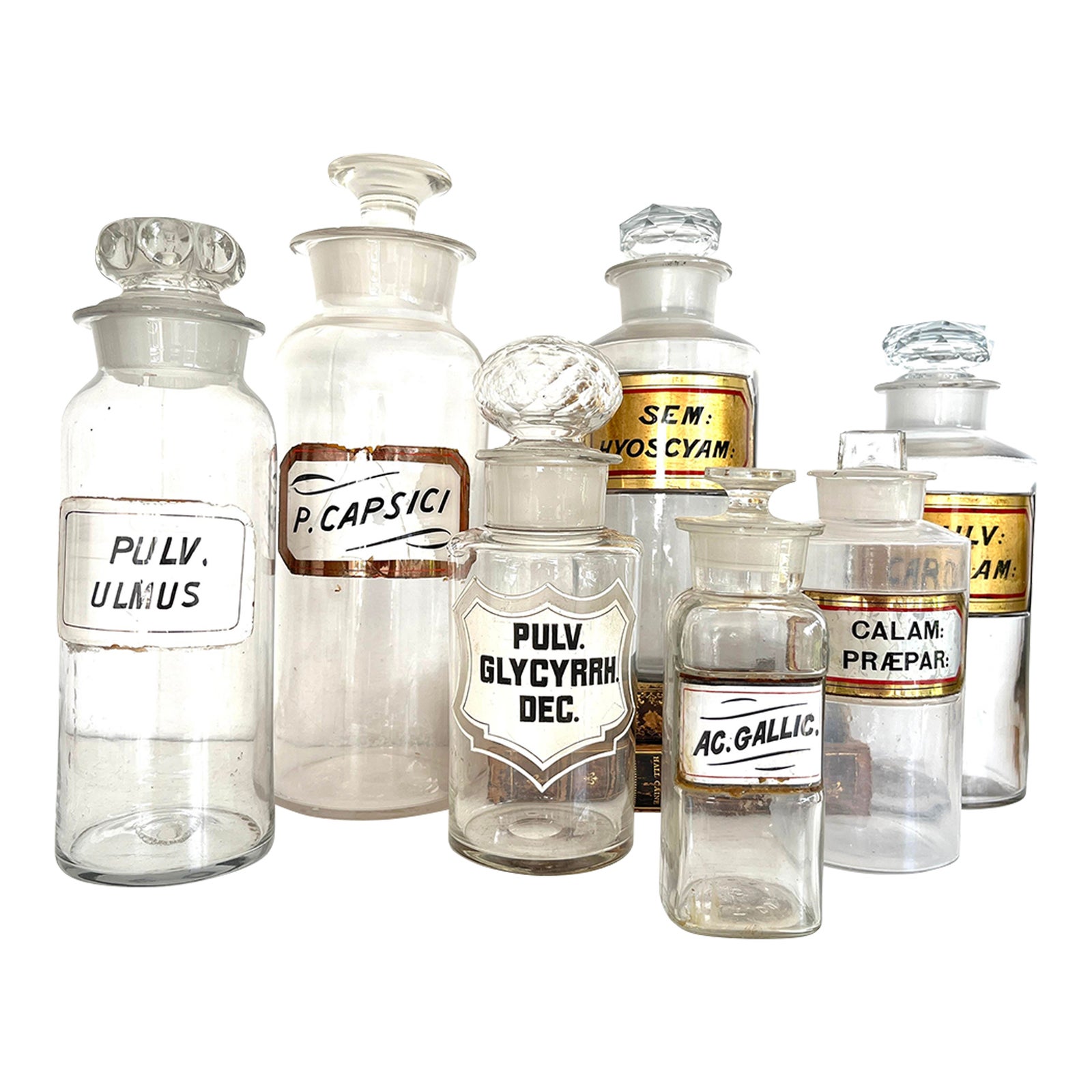 Antique Apothecary Bottles, 1880-1920’s, Group of Seven | Chairish