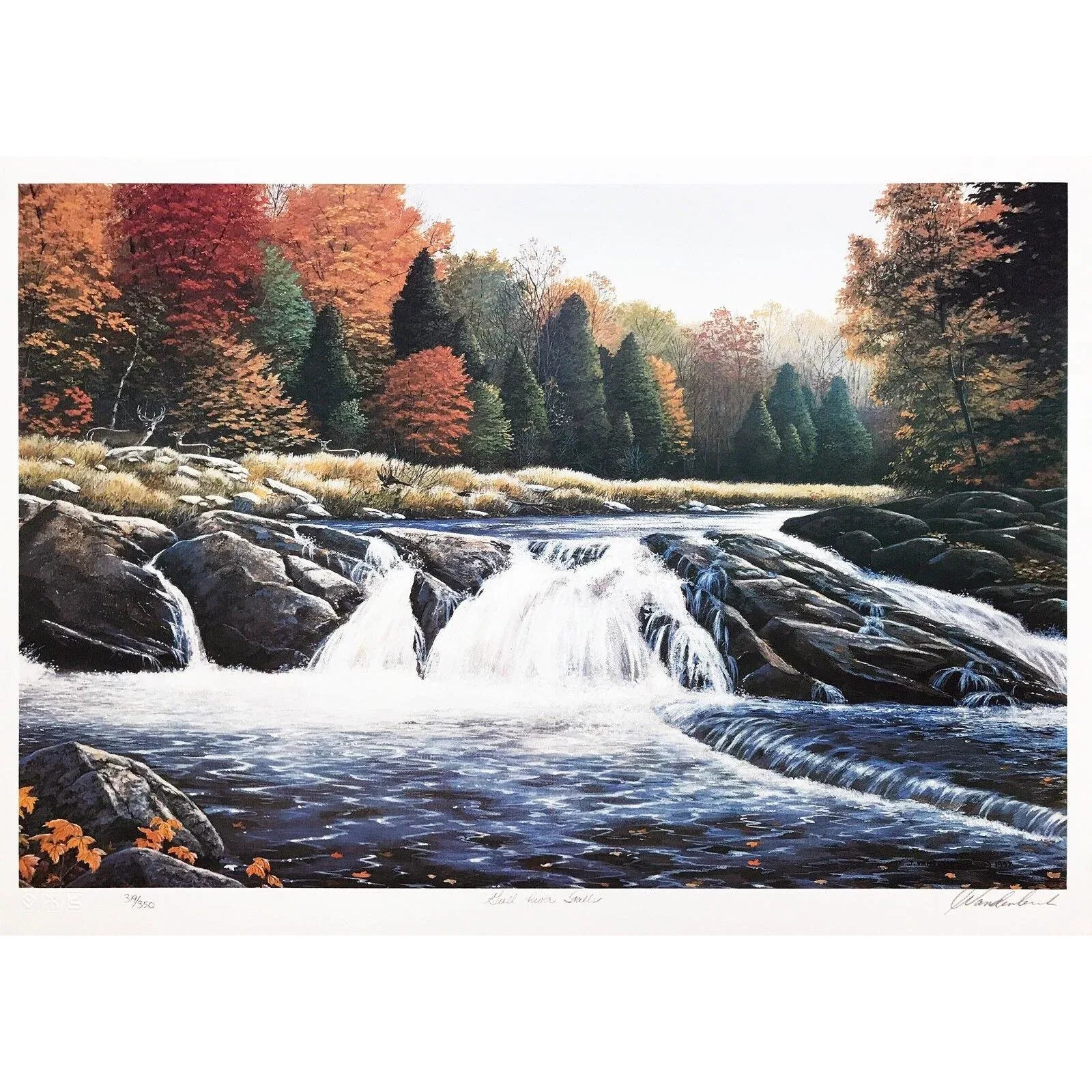 Jake Vandenbrink Gull River Falls Lithograph on Paper | Chairish