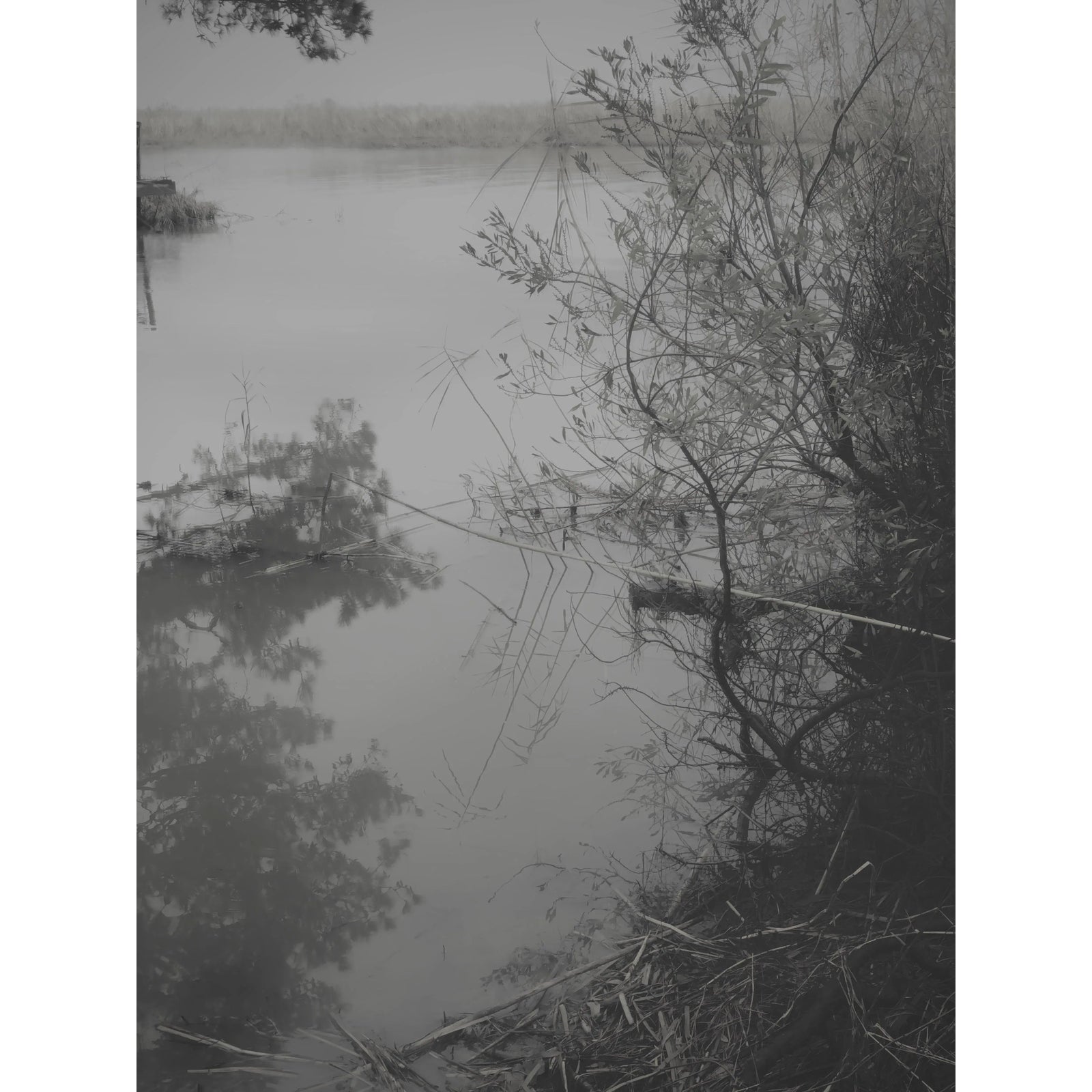 Chelsea Fly Abstract Landscape Photograph #5 - Hidden Marsh | Chairish