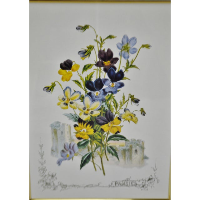 Vintage Framed Victorian Flower Prints - a Pair | Chairish