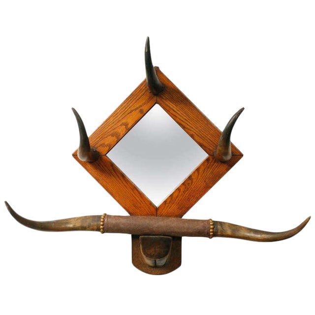 1910s American Horn Hat Rack with Mirror | Chairish