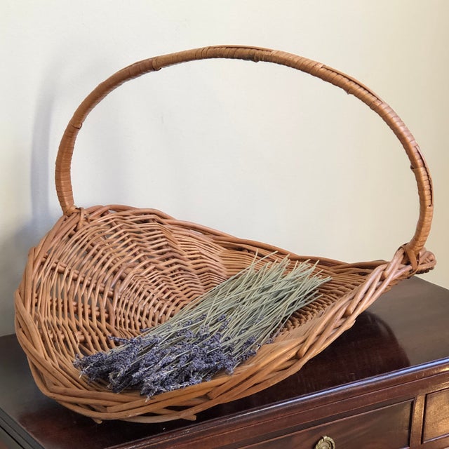 Extra Large Mid-20th Century French Style Flower Gathering Basket ...