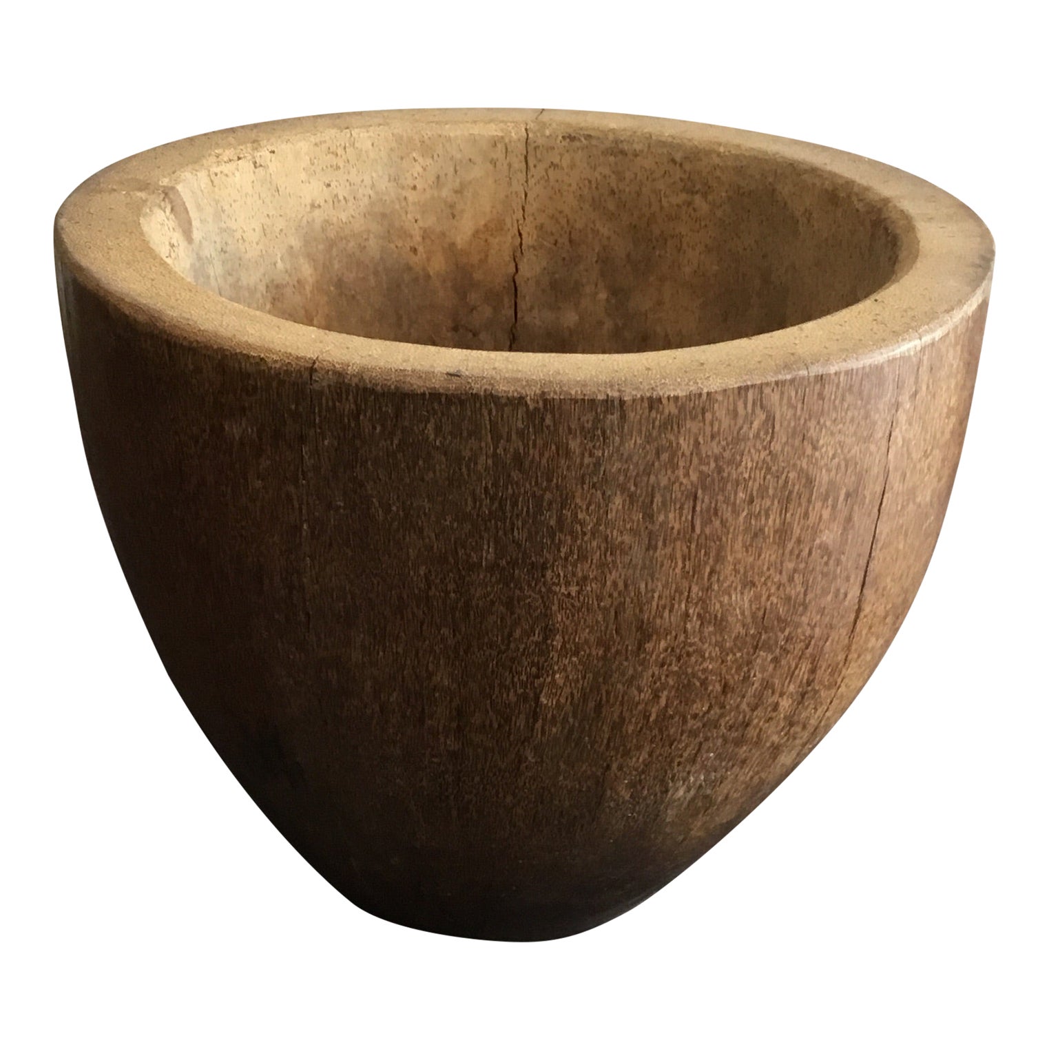 Original Palm Tree Planter / Pot | Chairish