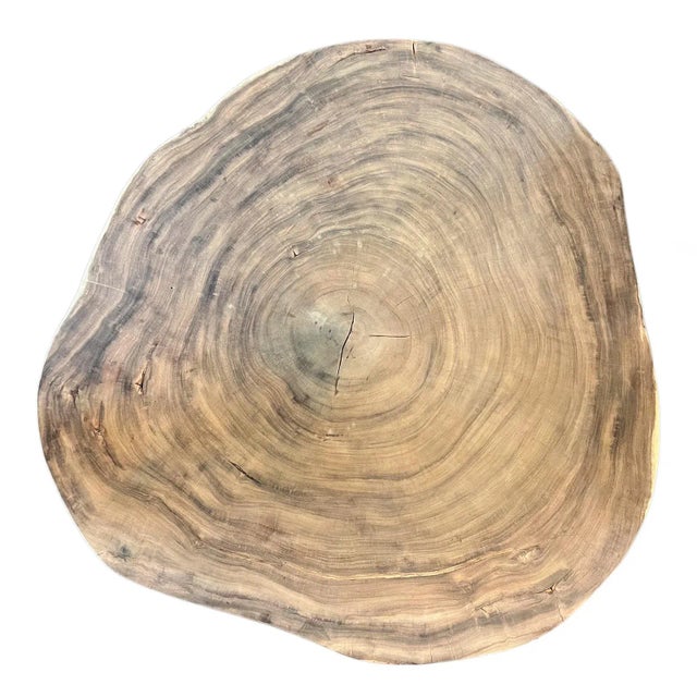 Organic Pod Wood Coffee Table | Chairish