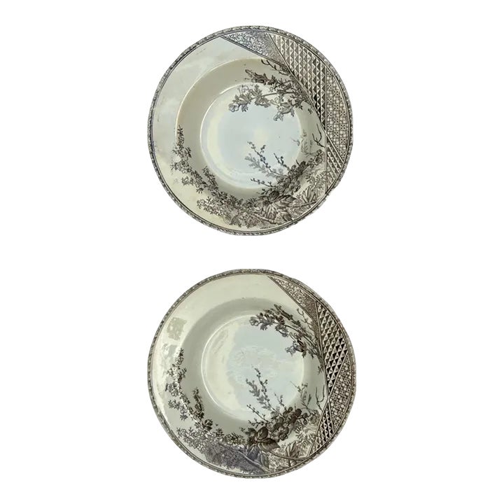 Set of 2 - j.m.& S. Gem Ironstone Transferware C. 1837-1889 | Chairish
