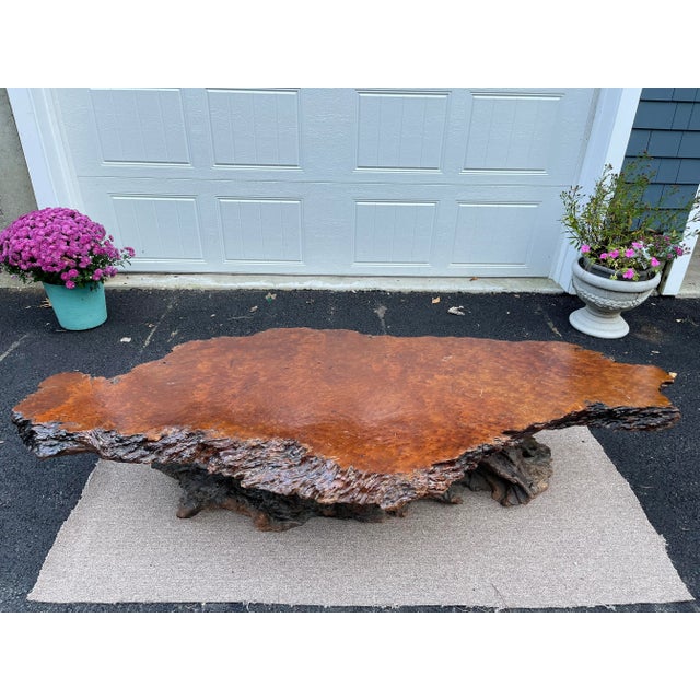 1970s Redwood Burl Coffee Table with Root Base | Chairish