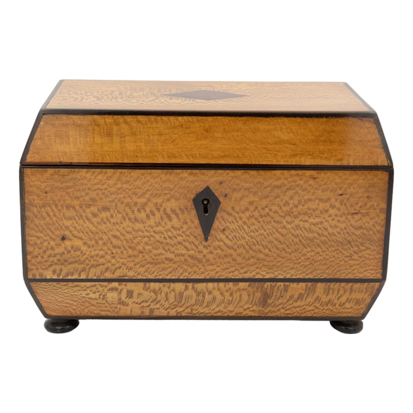 Early 19th Century Solid Lacewood Box With Campaign Handles | Chairish