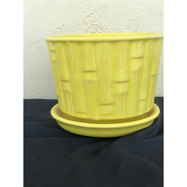 Vintage Mid-Century McCoy Yellow Bamboo Cache Pot Planter | Chairish