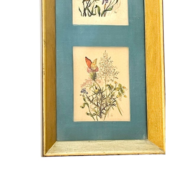 Mid 20th Century Pair Vintage Hollywood Regency Gilt Framed Botanical ...