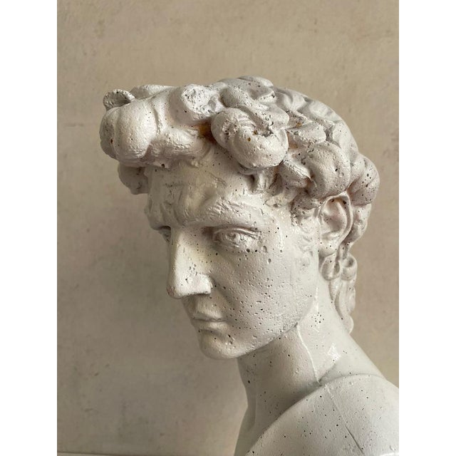 David by Michelangelo Plaster Bust | Chairish