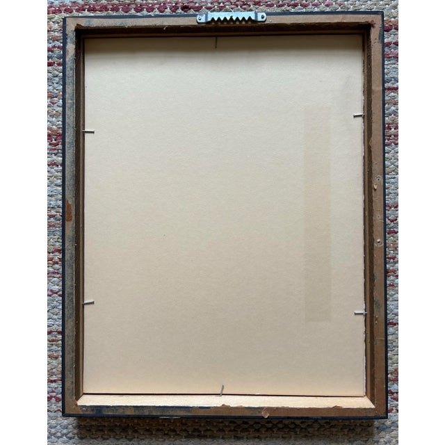 Vintage Hand Colored Lithograph Portrait of a Lion | Chairish