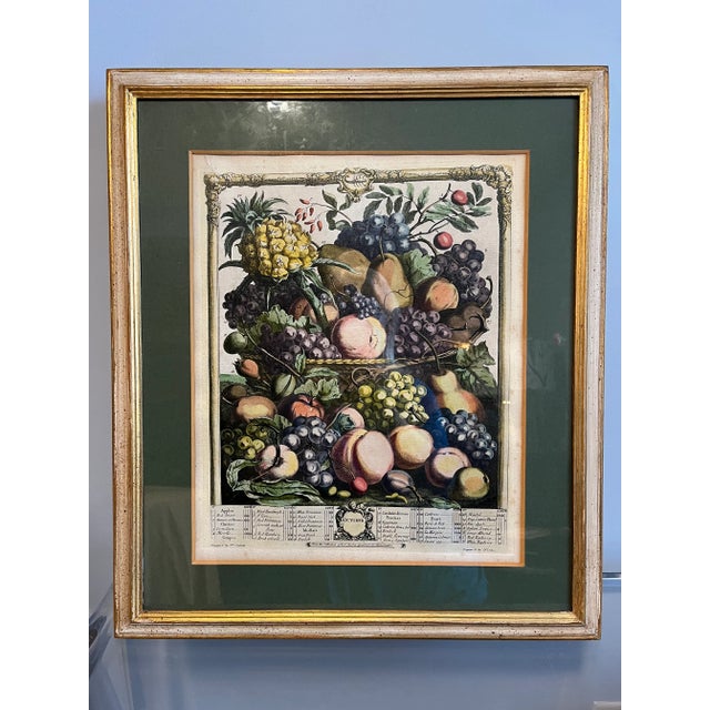 Vintage Framed Botanical Prints of Fruit of the Month After Furber ...