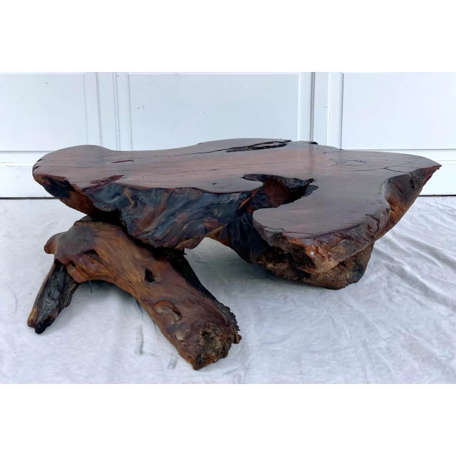 Vintage Organic Live Edge Root Coffee Table | Chairish