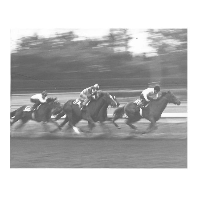 1973 Horse Racing Photograph by Don Ware | Chairish