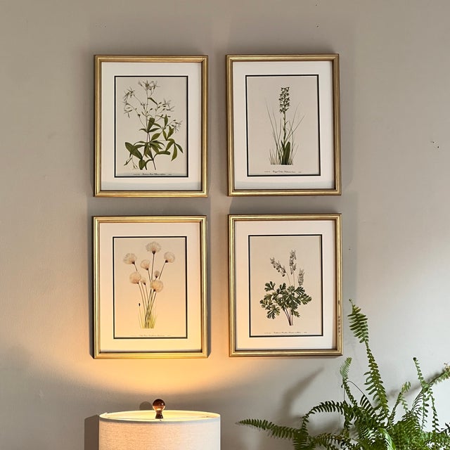 Framed Botanical Prints Set of 4- Authentic 1978 | Chairish