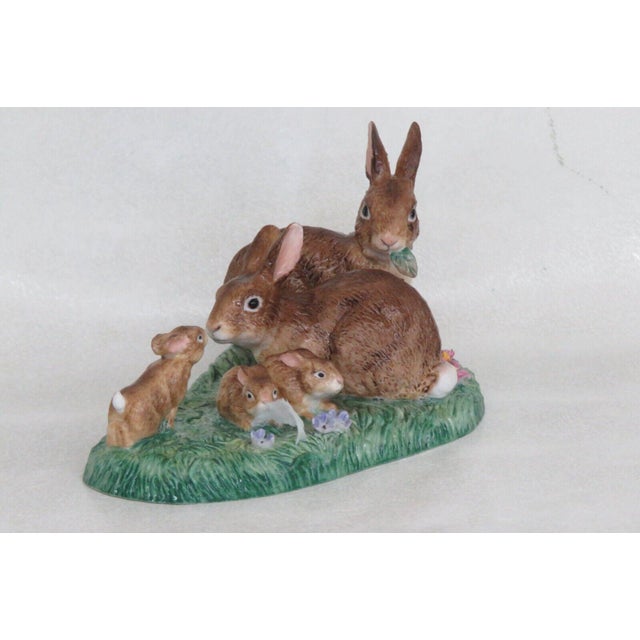 Royal Windsor Eastern Cottontail Rabbit Southern Forest Families ...