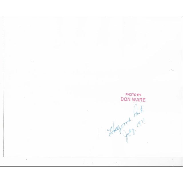 1971 Equestrian Photograph by Don Ware | Chairish