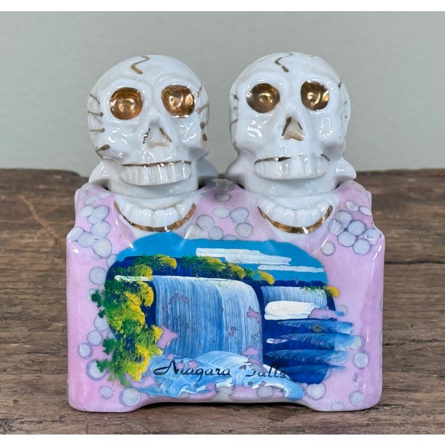 Vintage Niagara Falls Skull Salt and Pepper Shakers Ceramic Souvenir ...