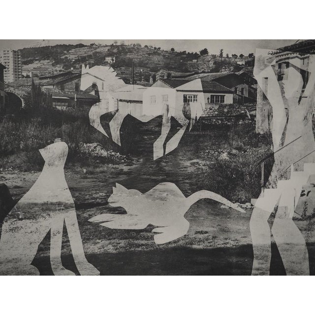 Pablo Picasso, Diurnes, The Man with the Cat Ii, Original Collotype | Chairish