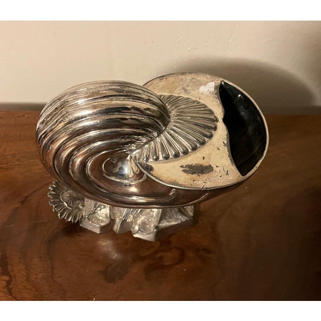 Antique 19th Century Sheffield Silver Plate Nautilus Shell Spoon Warmer ...