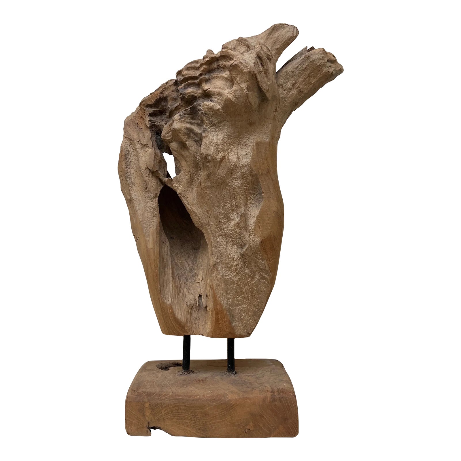 Natural Teak Root Sculpture | Chairish