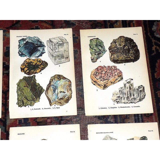 Antique 1911 Mineral Lithograph Collection - Set of 12 | Chairish
